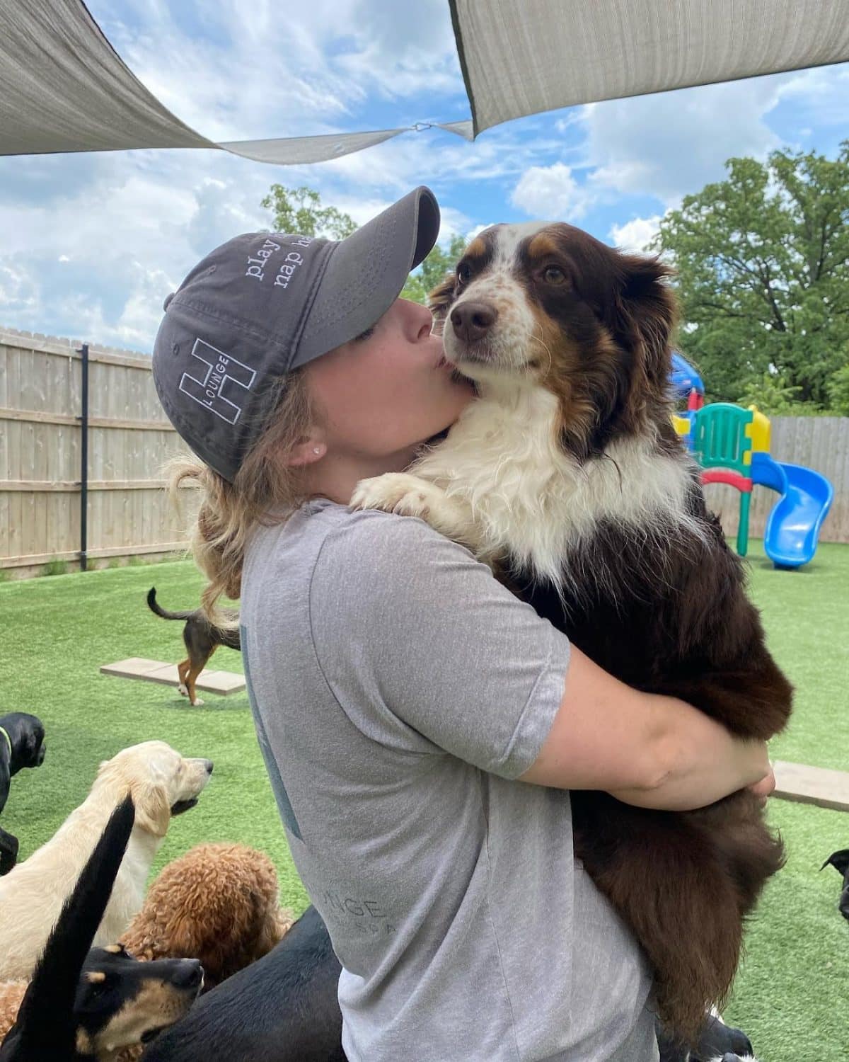 How to Socialize a Dog: Tips for Adult Canines