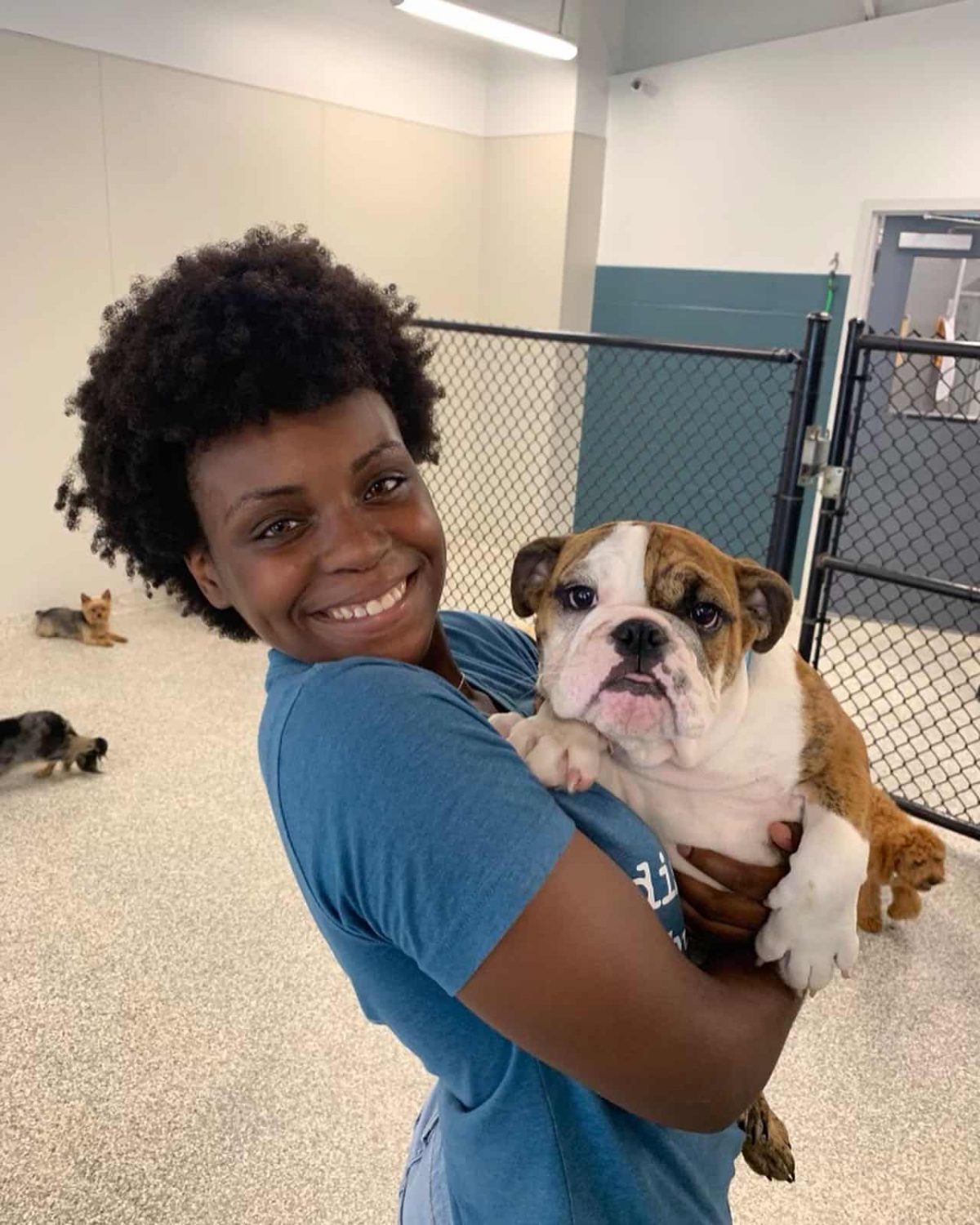 How to Minimize Rescue Dog Separation Anxiety