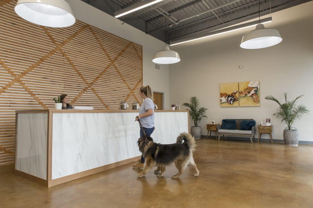 Dog Boarding | Voted Best of the Best 2017, 2018, 2019 and 2020