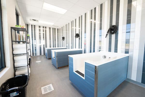 Dog Grooming in Rogers AR | Doggy Daycare & Boarding